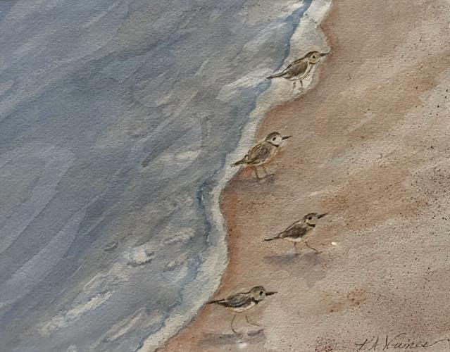 “Land and Sea” at Artists' Coop to feature works by members Nunes and ...