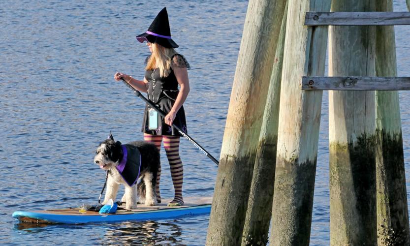 PHOTOS: Spooky paddleboarders on the Mystic River | Stonington ...