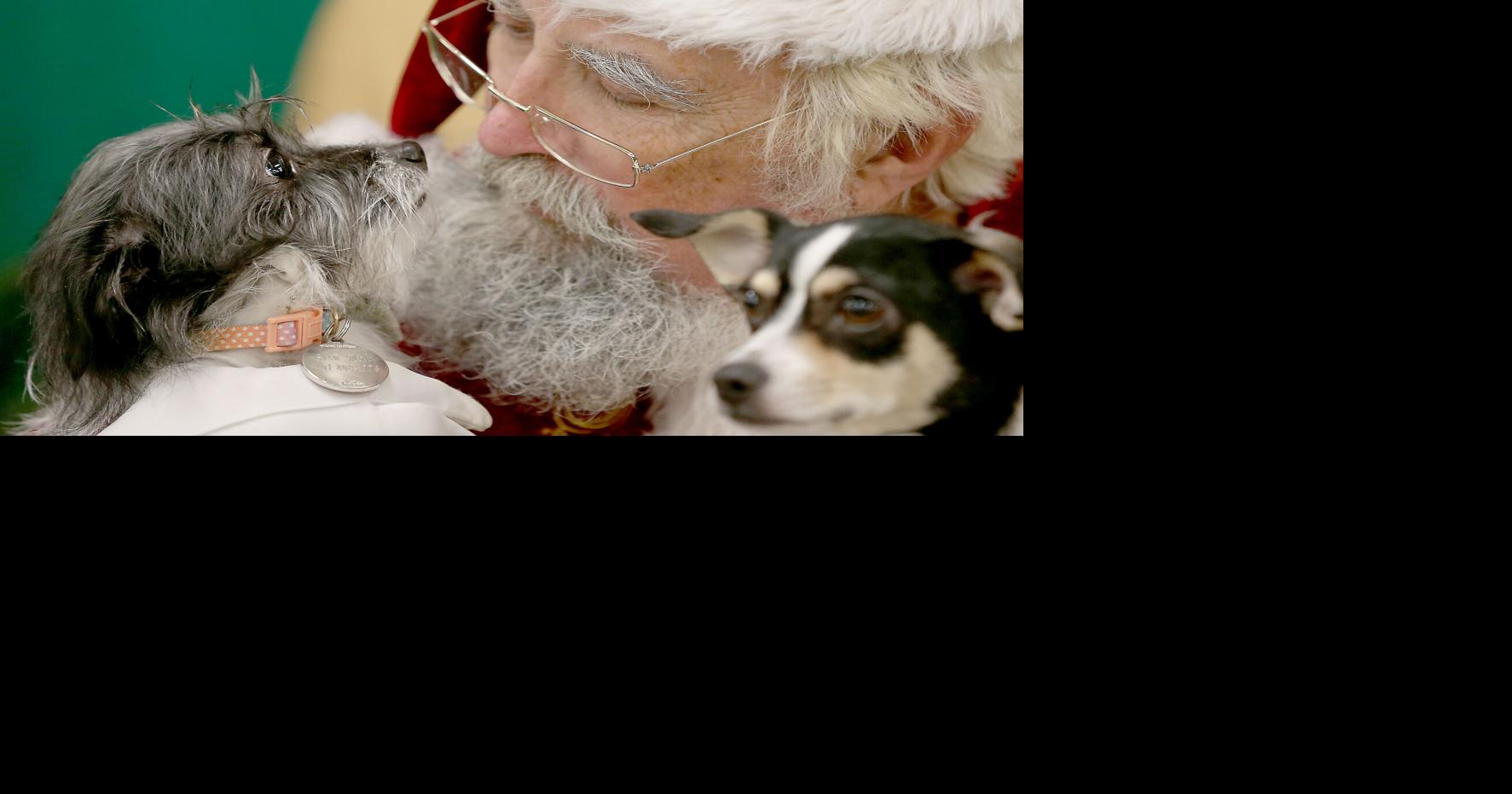 PHOTOS: Pet photos with Santa at Agway | Westerly | thewesterlysun.com