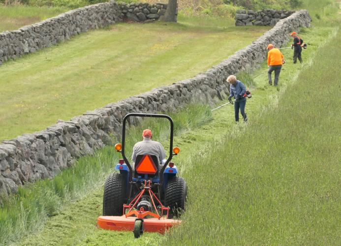 PHOTOS: Winnapaug Farm gets a haircut | Westerly | thewesterlysun.com