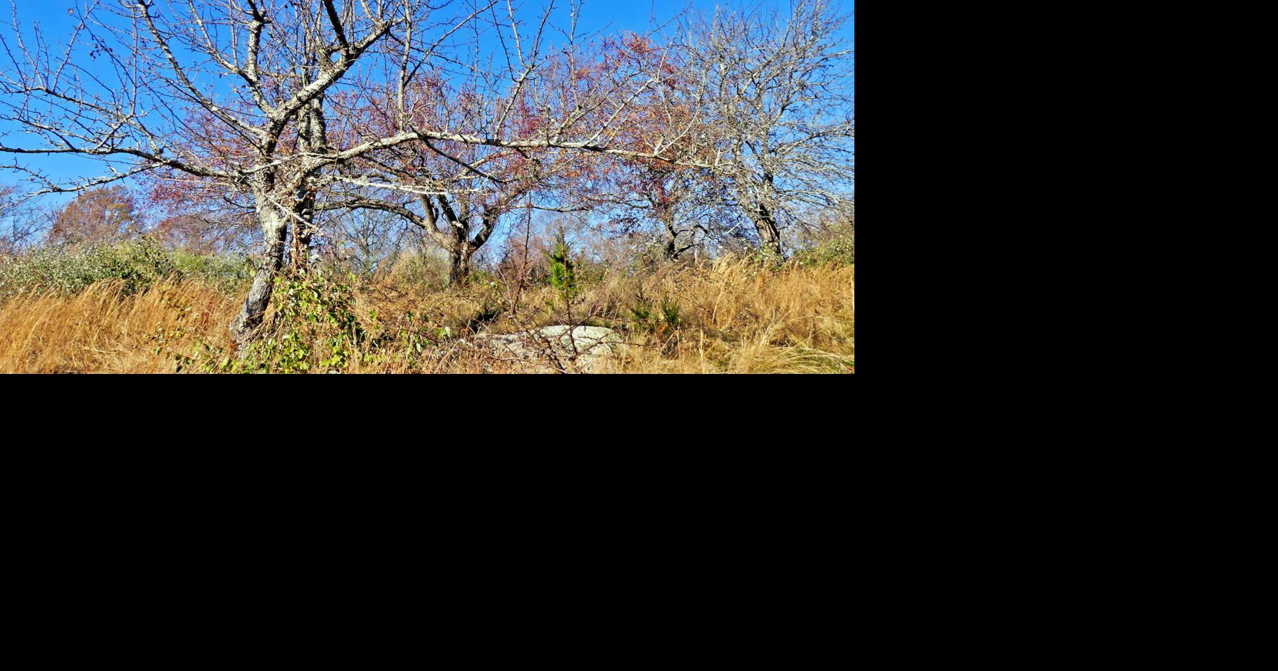 Nature center receives technology grant from Dime Bank Foundation ...