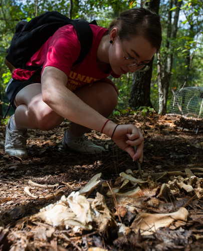 When rotting corpses are par for the course | Local News | times ...