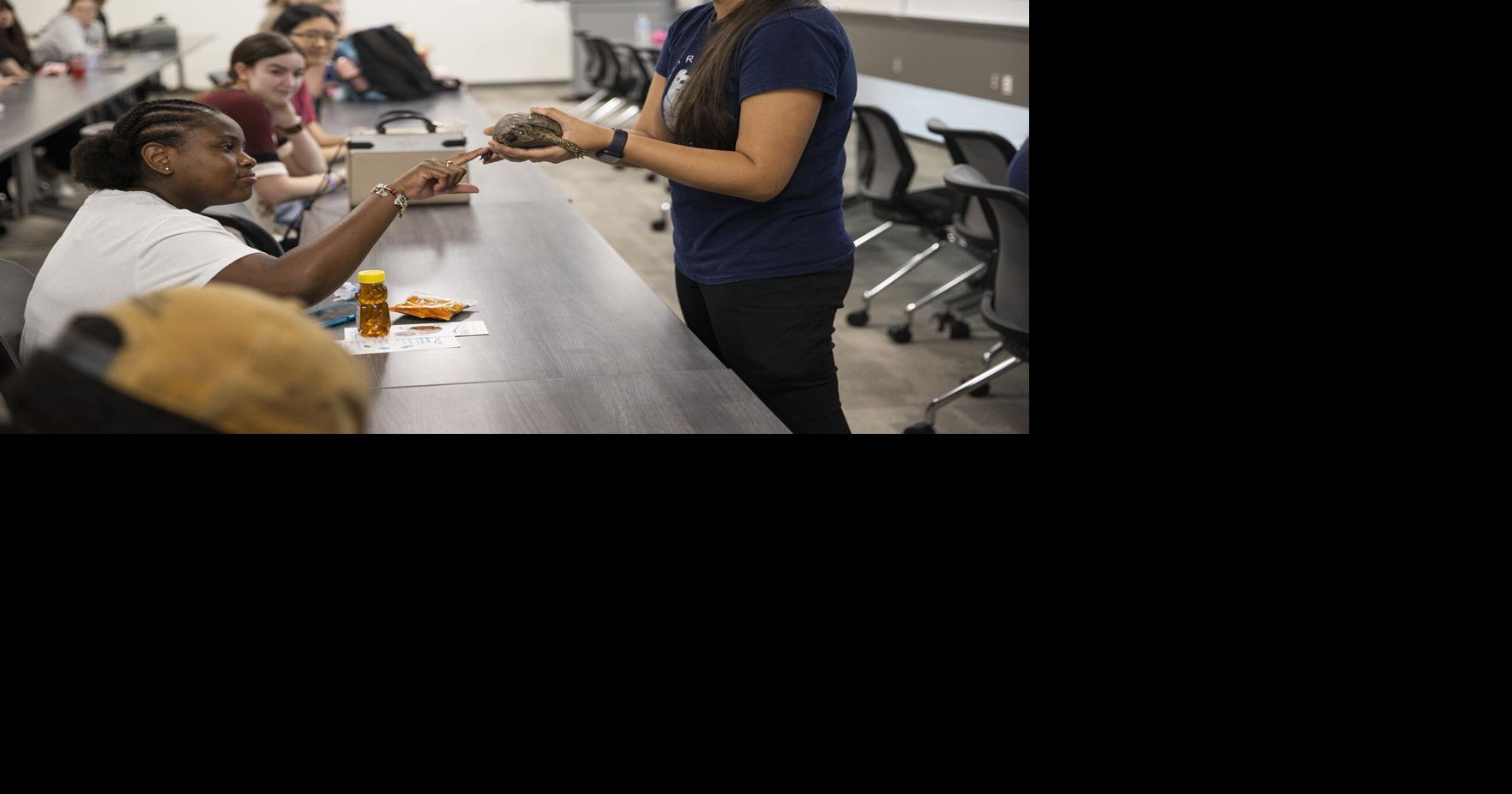 Thomas the Tortoise inspired UWG grad's career | Gateway-Beacon | times ...