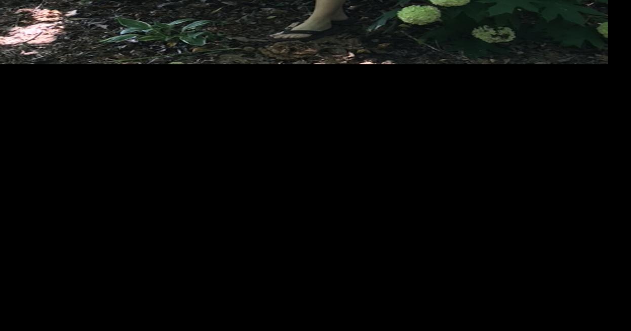 Ask a Master Gardener: The Tara Hydrangea from Ranburne, Alabama | Farm ...