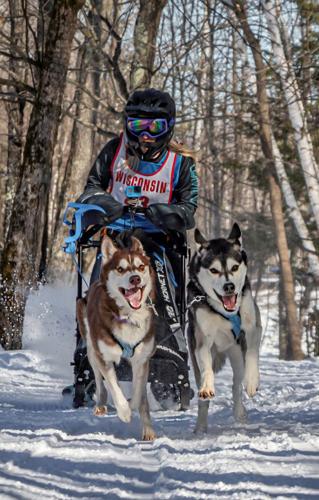 Villa Rica sled dog team headed to World Championships | Times Georgian ...