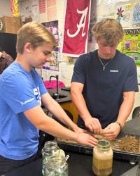 Carrollton High named AP STEM Honor School for 16th year | Local News ...
