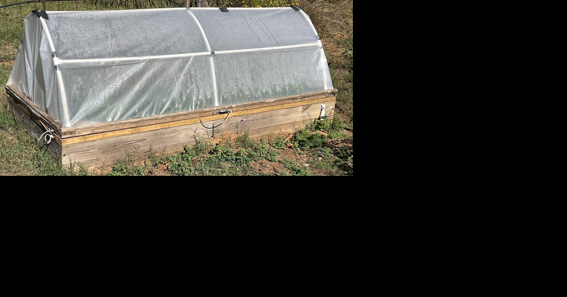 Ask a Master Gardener: Is my vegetable garden useless in winter ...