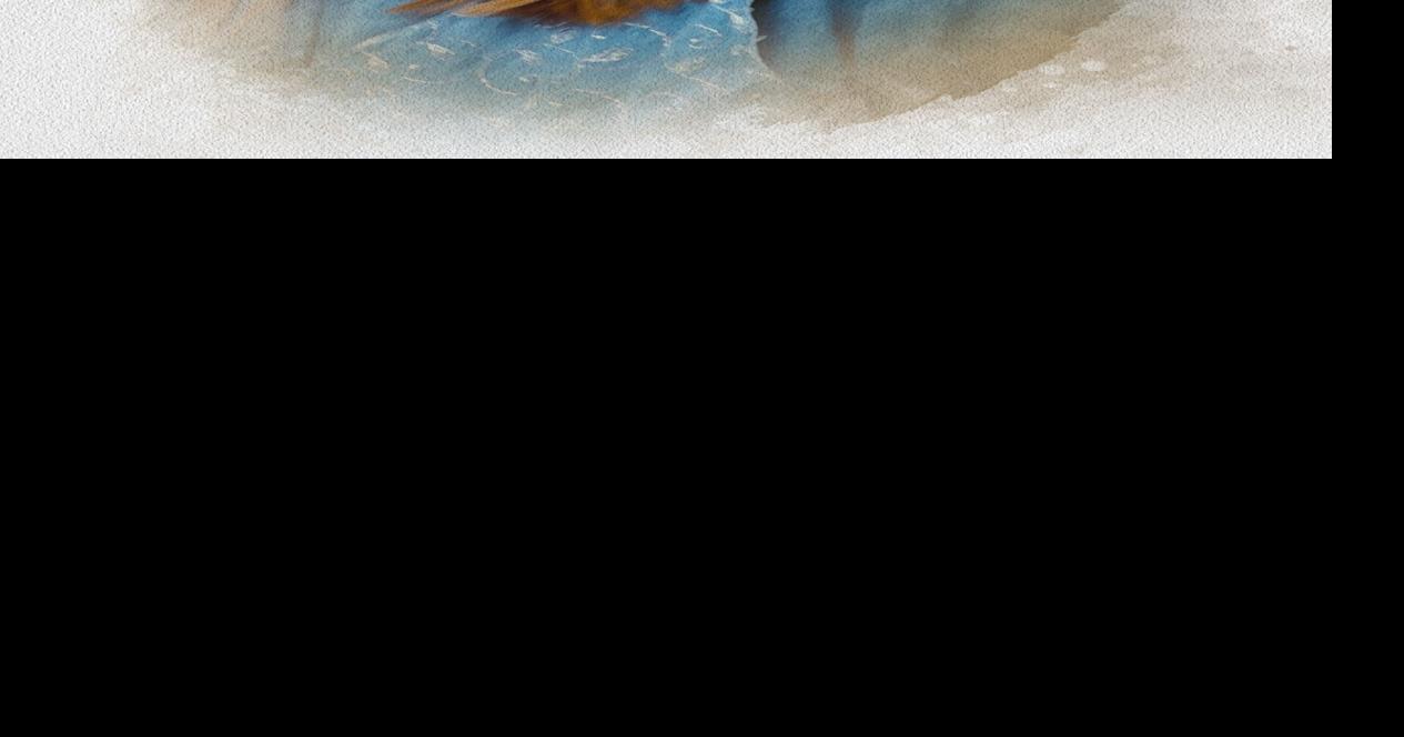 Casey Tolbert | Times Georgian | times-georgian.com