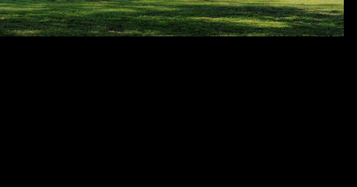 Tanner hospitals get back to normal | News | times-georgian.com