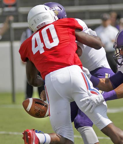 New wrinkle into rivalry | Sports | times-georgian.com