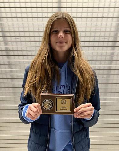 Berg takes second at state, named Sr. Athlete | Sports | times-online.com