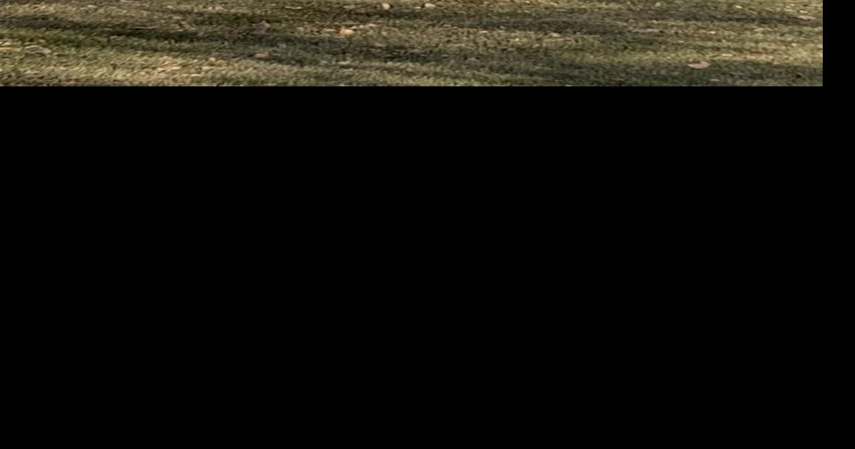 Golf in ND on Dec. 6th! Now that is a good day! | Sports | times-online.com