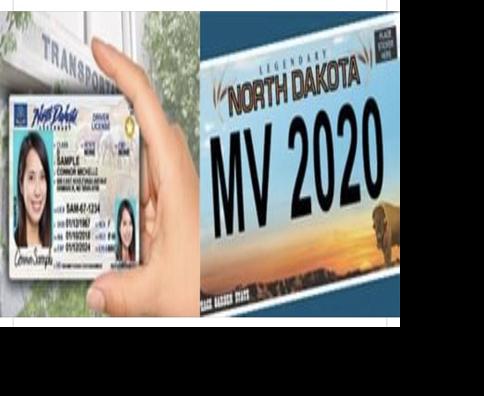 Vehicle Tabs Or Updated Drivers License Information | News | times ...