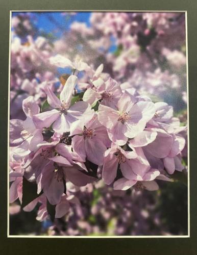 BCN student photo chosen... | News | times-online.com