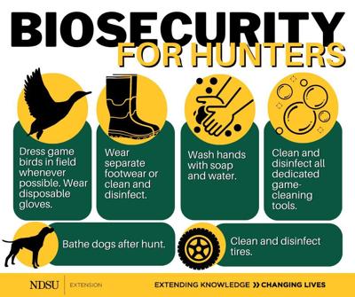 Attention Hunters | Sports | times-online.com