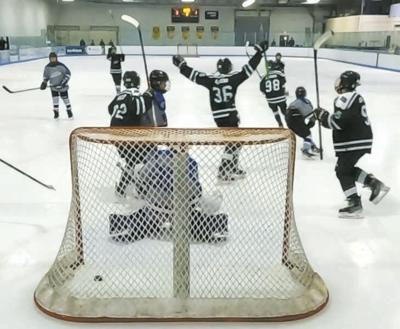 Prowl faces Angels and Freeze | Sports | times-online.com