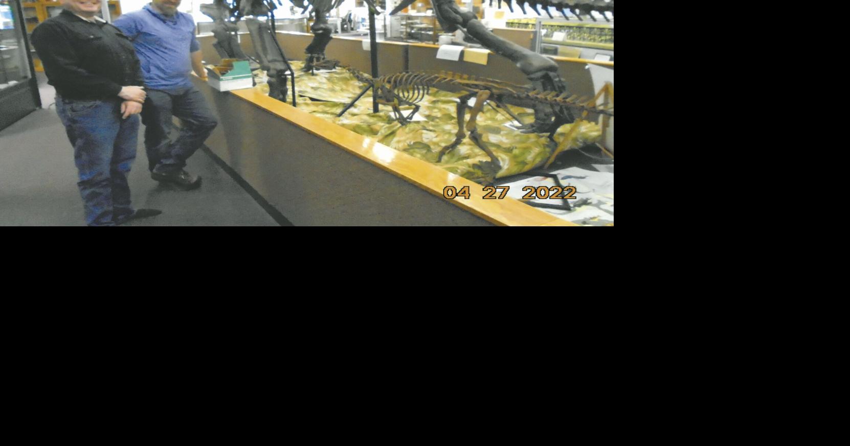 Meet “Burt,” the Barnes County Museum’s newest dinosaur exhibit | News ...