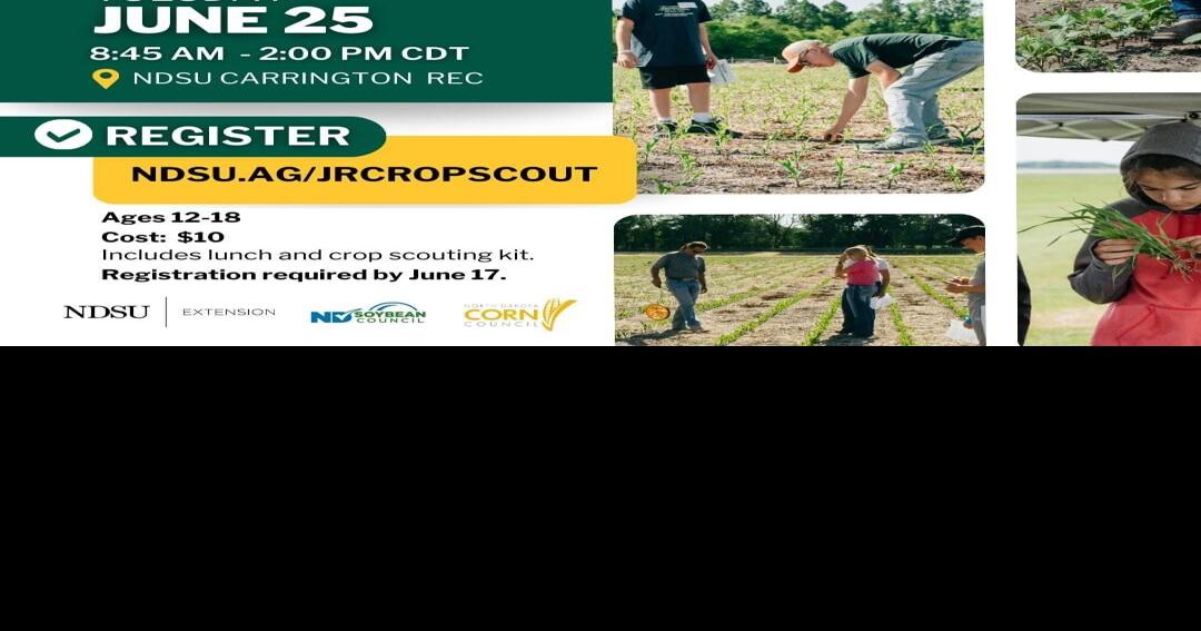 Junior Crop Scout School... | News | times-online.com