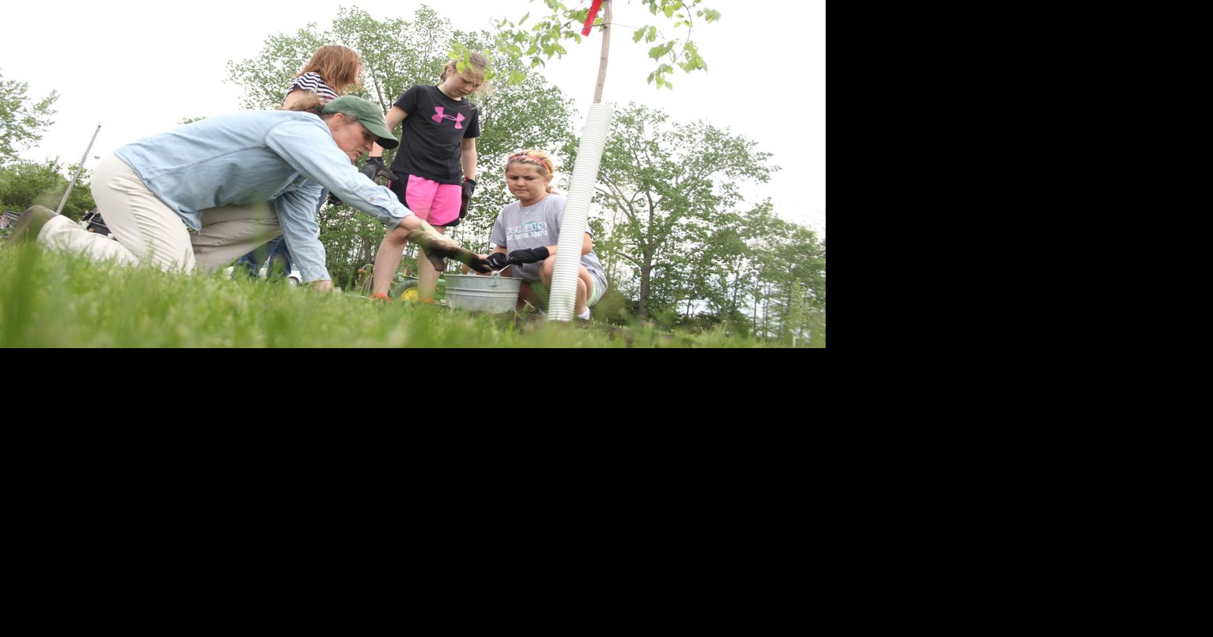 Trees added to Burton Fields project | News | timescitizen.com