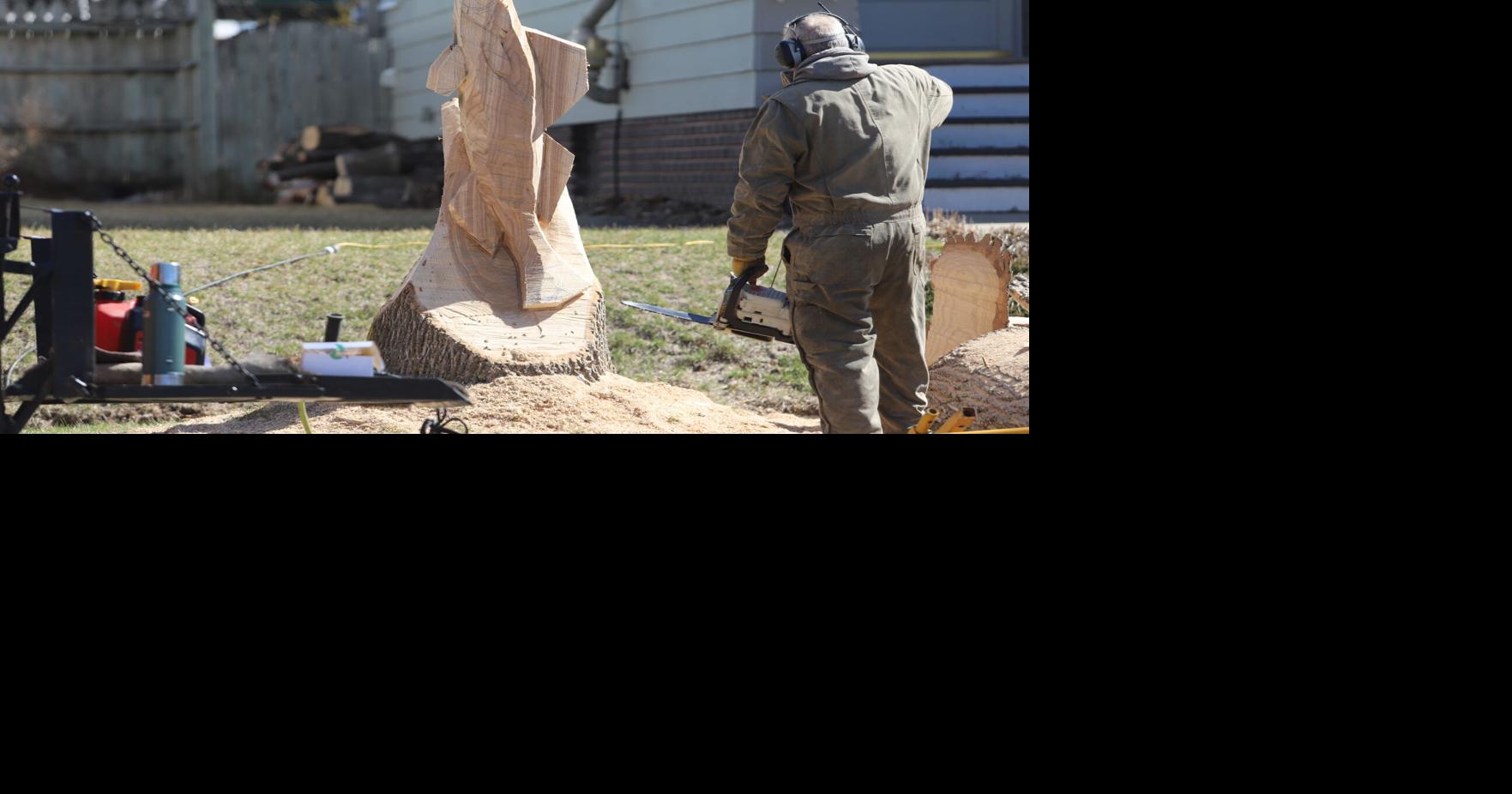Latest tree carving is a whopper | News | timescitizen.com