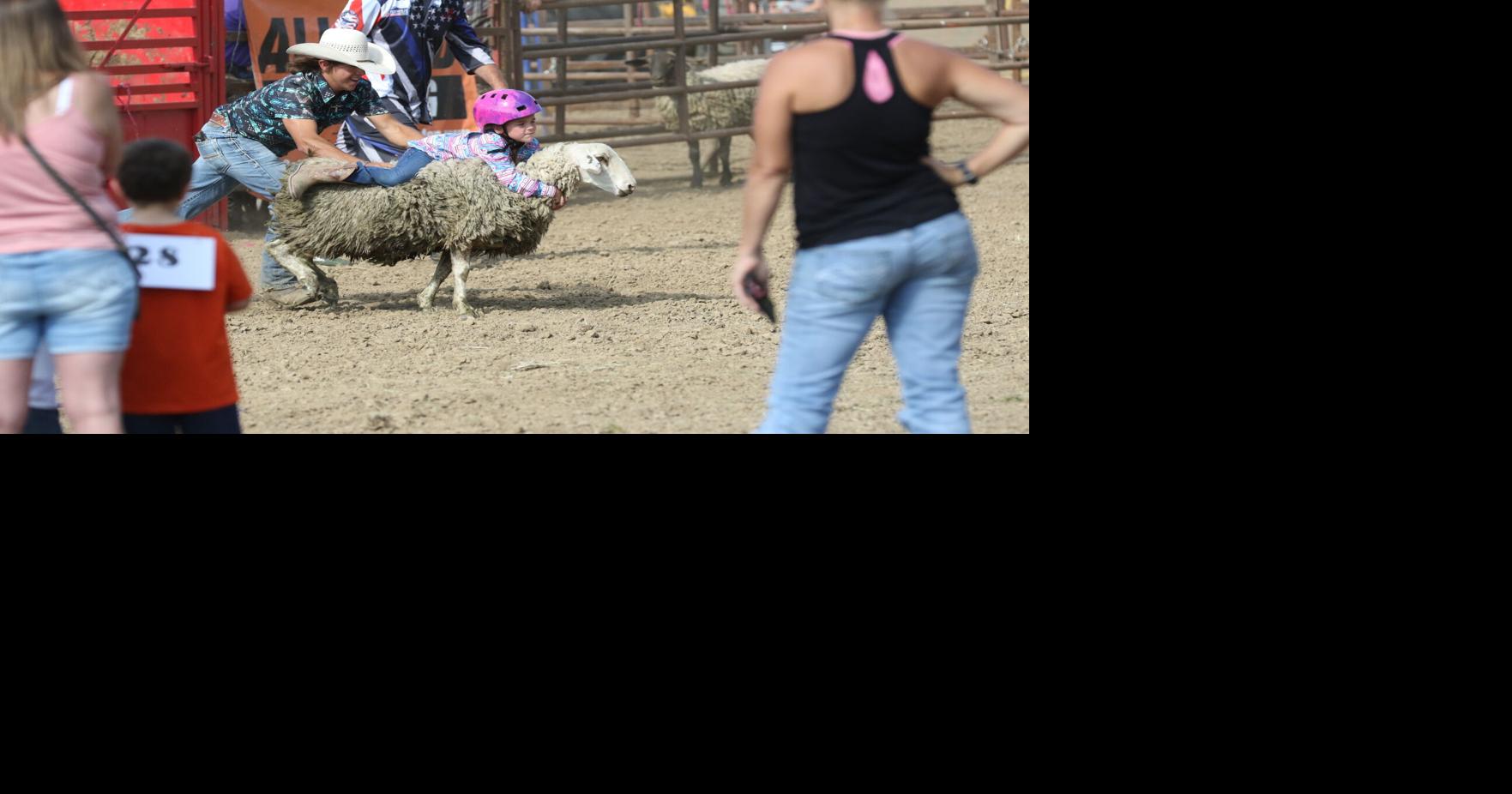 7-8-21 Hardin Co. Fair 2021 | Gallery | timescitizen.com