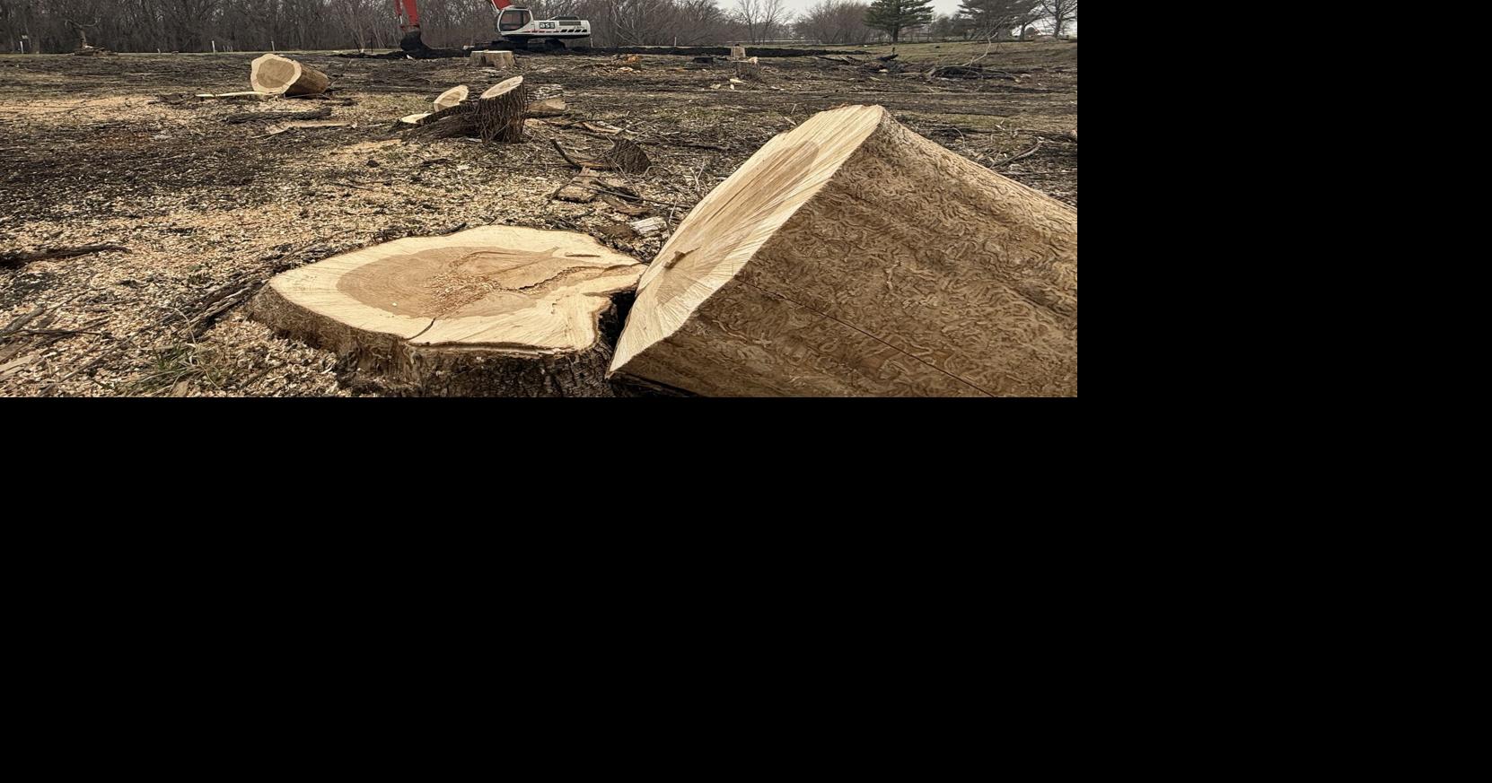 Volunteer group remains stewards of Popejoy Park | News | timescitizen.com