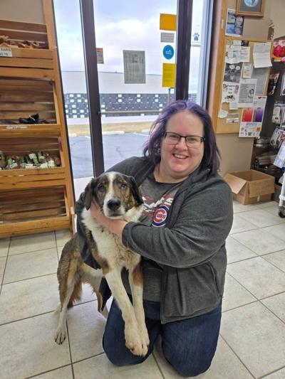 Doggone Good Luck - Community Helps Lost Dog Get Home | Ackley World ...