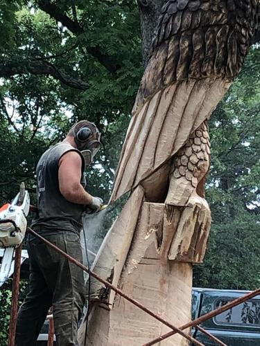 Barlow Challenge: Iowa Falls ash trees hope to get 'new life' | News ...