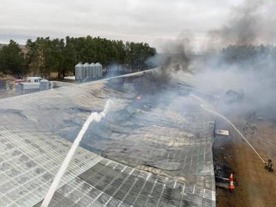 Fire engulfs hog confinement building | News | timescitizen.com
