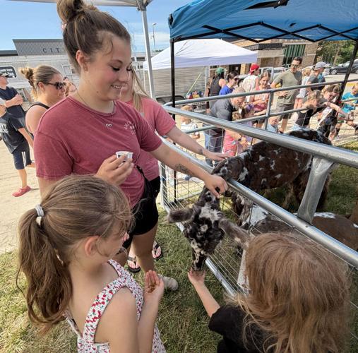 A Summer Together kicks off at Barlow Library | News | timescitizen.com