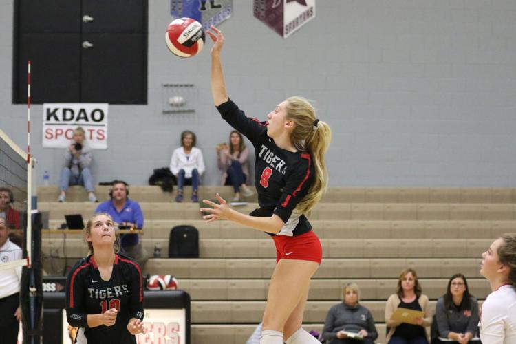 Teske named NICL-West Outstanding Player; five Tigers receive honors ...