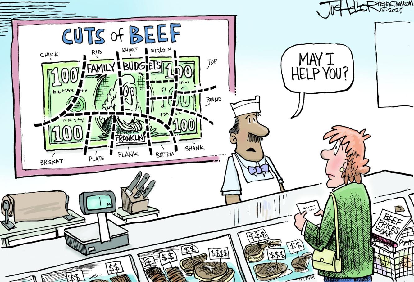 Cartoon | Opinion | timescitizen.com