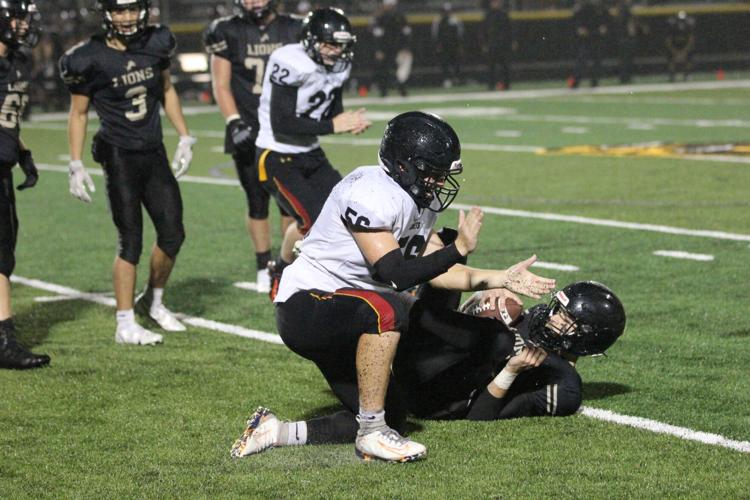 Unsung heroes key 16-14 win over ranked Lions | Sports | timescitizen.com