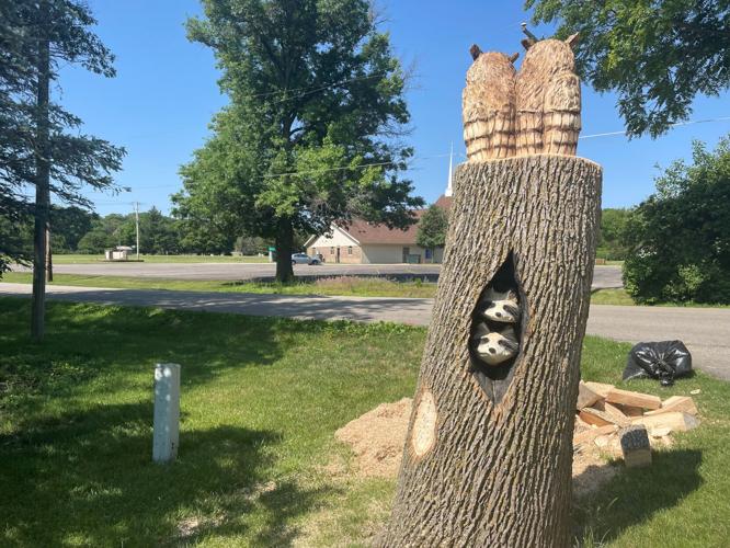 Bash for the Ash sculptures take shape | | timescitizen.com