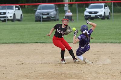 Tigers extend run against AGWSR to nine | Sports | timescitizen.com