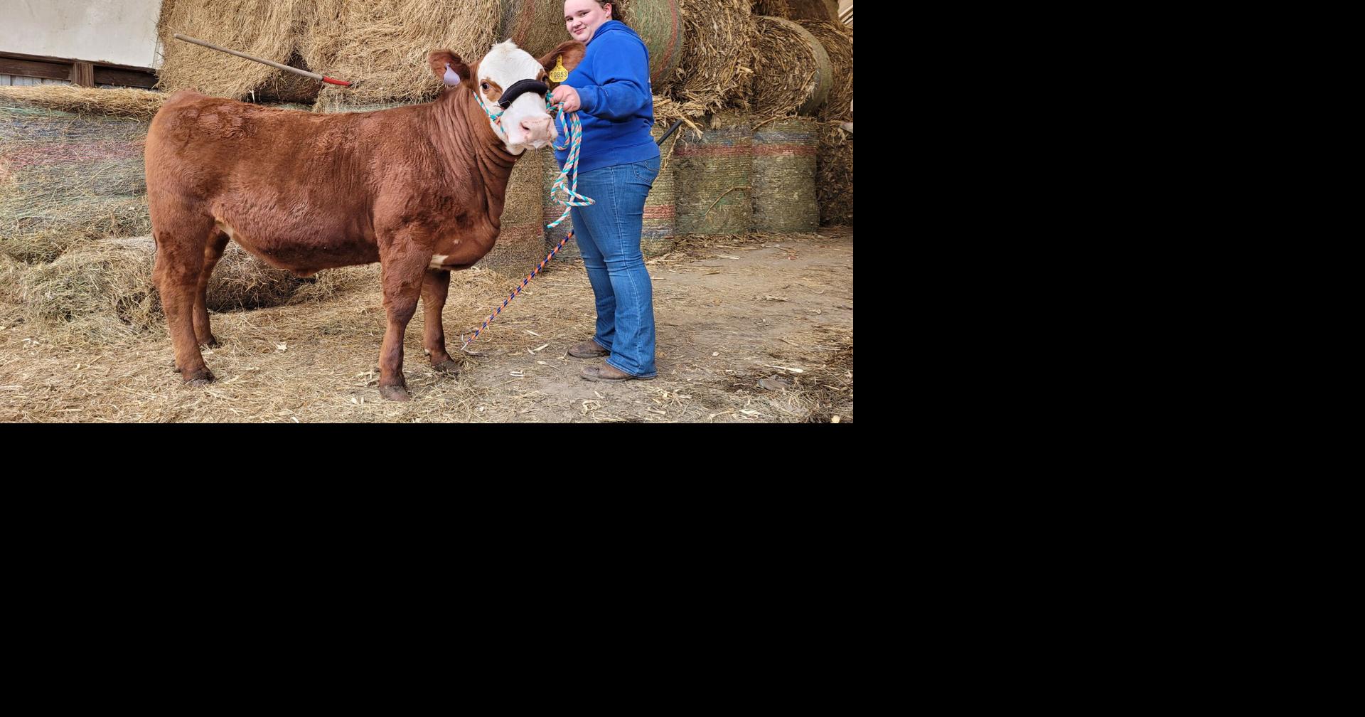 Raising Bunny: Rodamaker getting ready for Fair | News | timescitizen.com