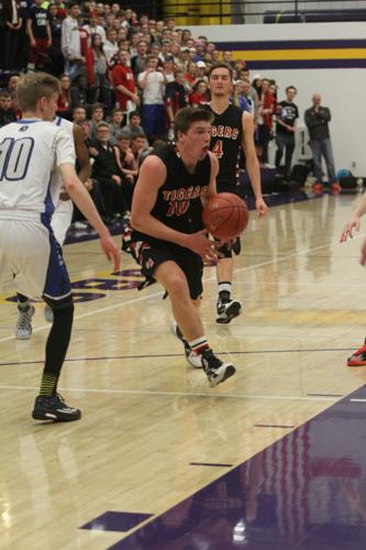 From a Tiger to a Viking | Sports | timescitizen.com