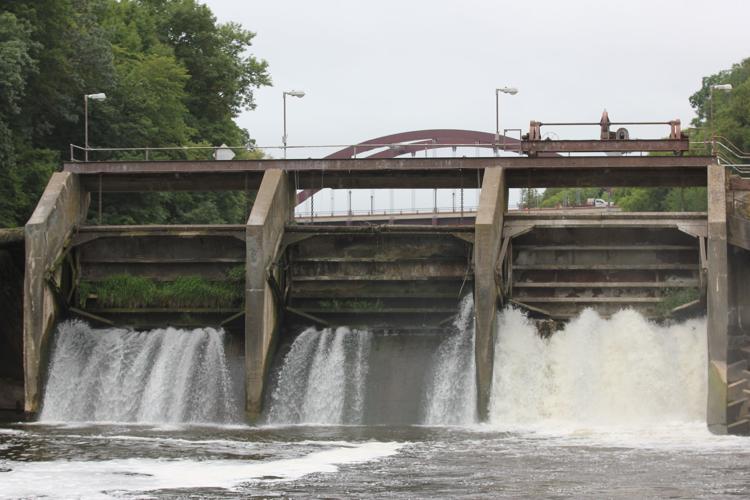 Tree freed from dam; turbine work continues | News | timescitizen.com