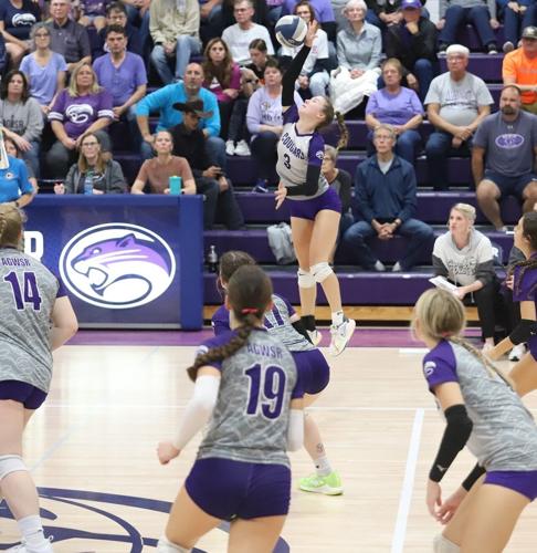 Return to State bid rebuffed, AGWSR finishes 18-24 | Ackley World ...