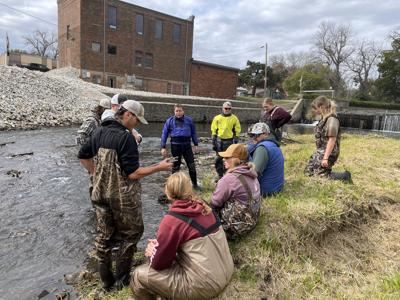 Spotlight on ECC: The future of conservation | News | timescitizen.com