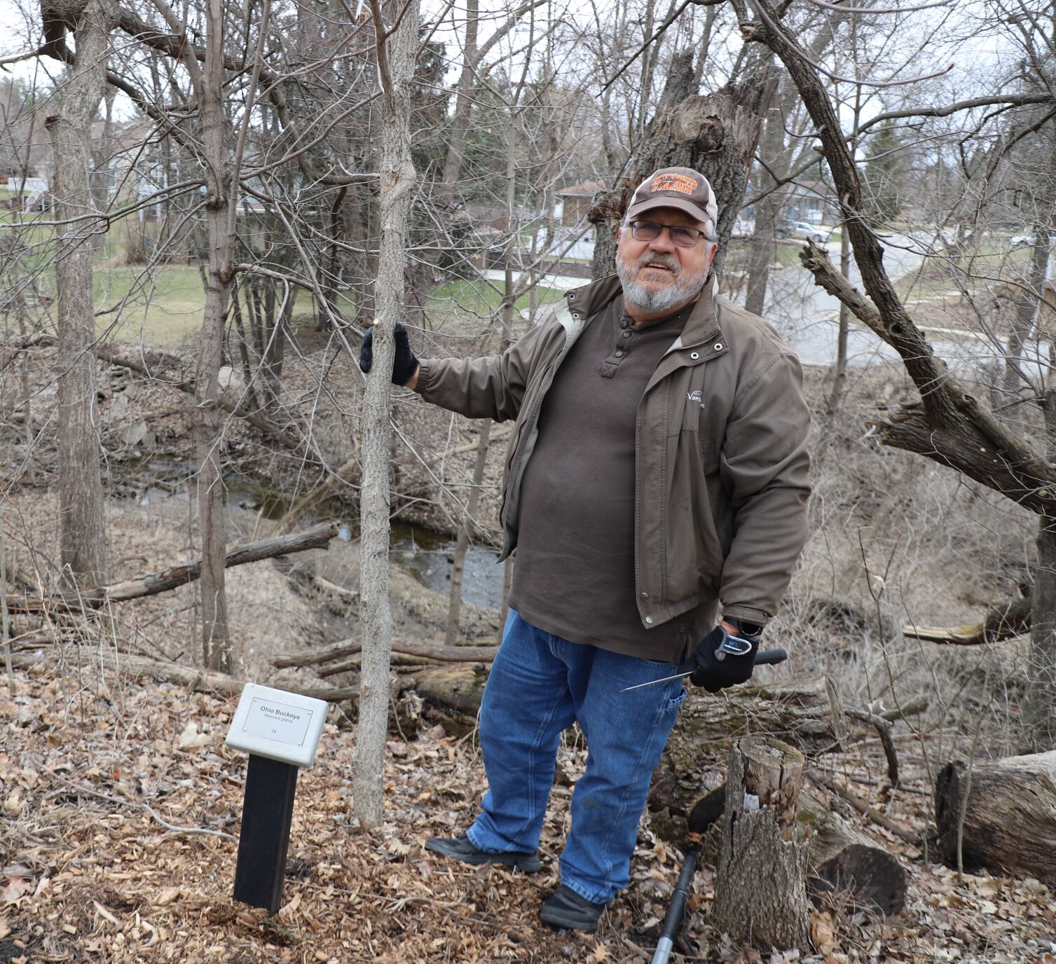 Tree city, USA | News | timescitizen.com