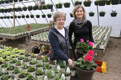 Hobsons open greenhouse north of Eldora | News | timescitizen.com
