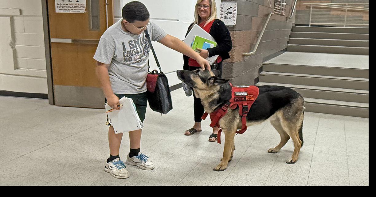 SHMS therapy dog, Hank, makes big impact | News | timescitizen.com