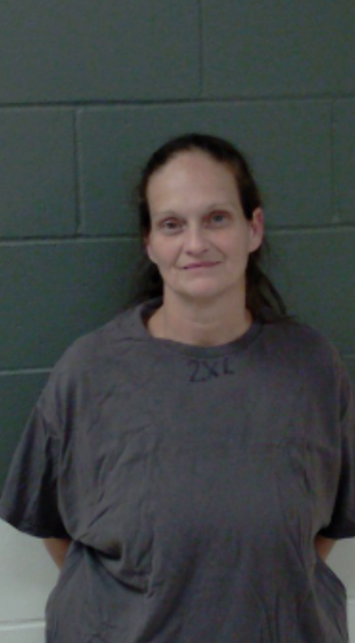 Eldora-Iowa Falls woman charged with assault after steak knife attack ...