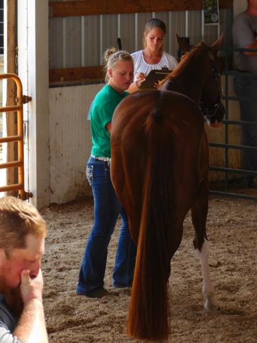 Johnson wins Supreme Showman as a freshman | News | timescitizen.com