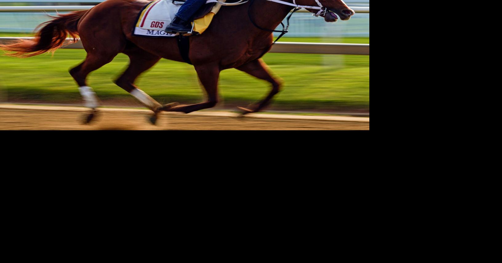 Mage heads to the Preakness with hundreds of owners cheering him on ...