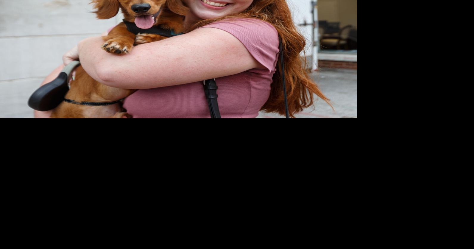 Dachshund dash | Life | timesdaily.com
