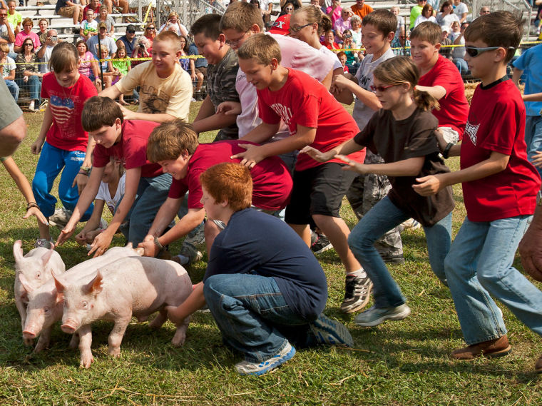 Greased Pig Chase | Archives | timesdaily.com