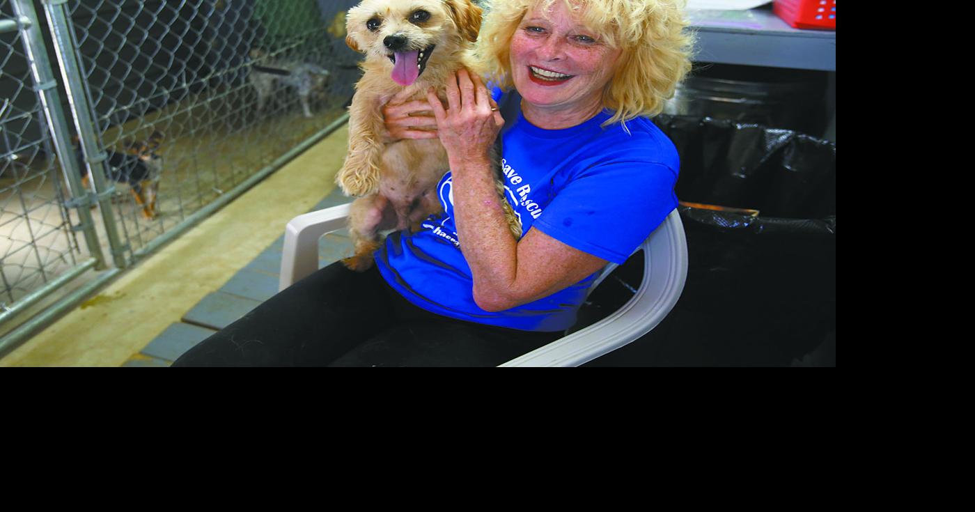 Debbie Rappuhn: Her mission to rescue and find good owners for animals ...