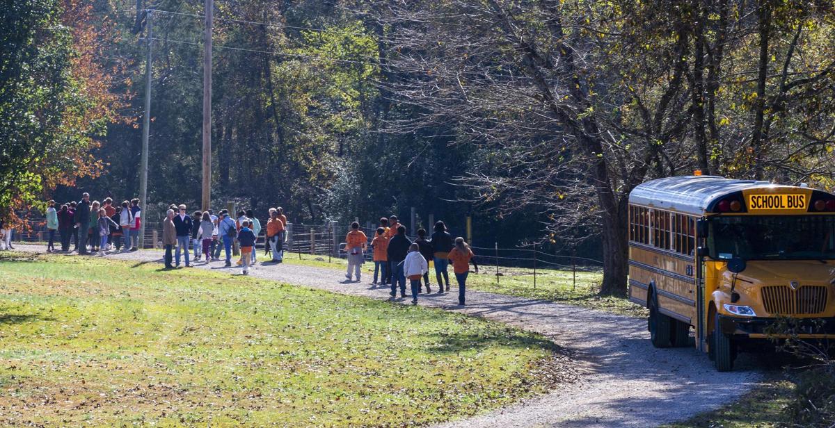 Hibbett Middle School sixth graders go on Farm City Tour | Gallery ...